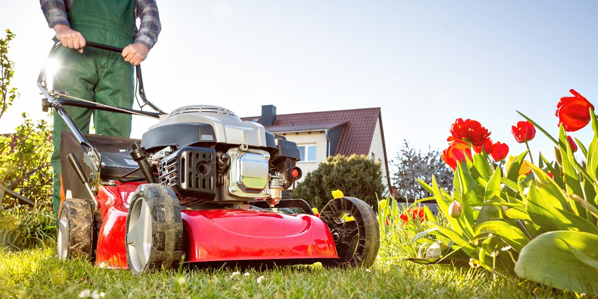 Zahrádkářská sezóna v plném proudu. Víte, jak jednoduše naložit se ...