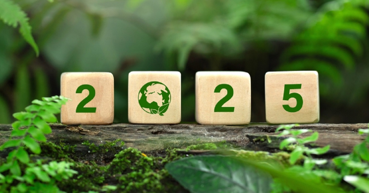 Trendy v udržitelnosti pro rok 2025 | REMA Systém